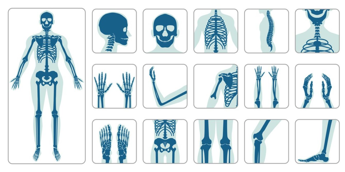 Il ruolo dell’osteocalcina come marker - bonehealth