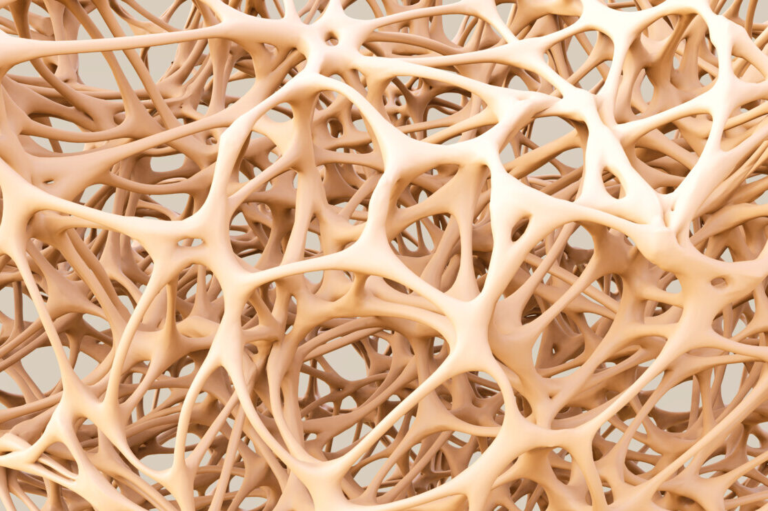 Mastociti: quale ruolo nel metabolismo osseo? - bonehealth